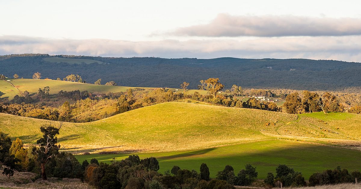 Macedon Ranges Shire | Jellis Craig