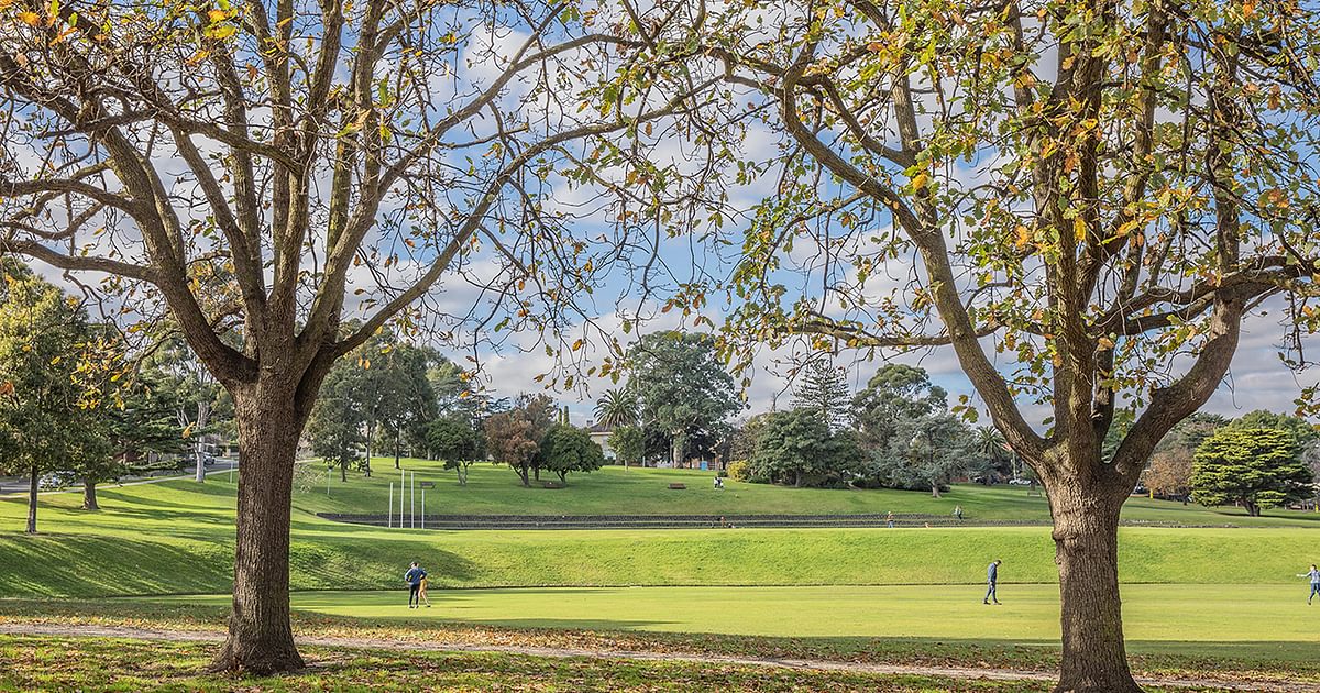 City of Banyule | Jellis Craig